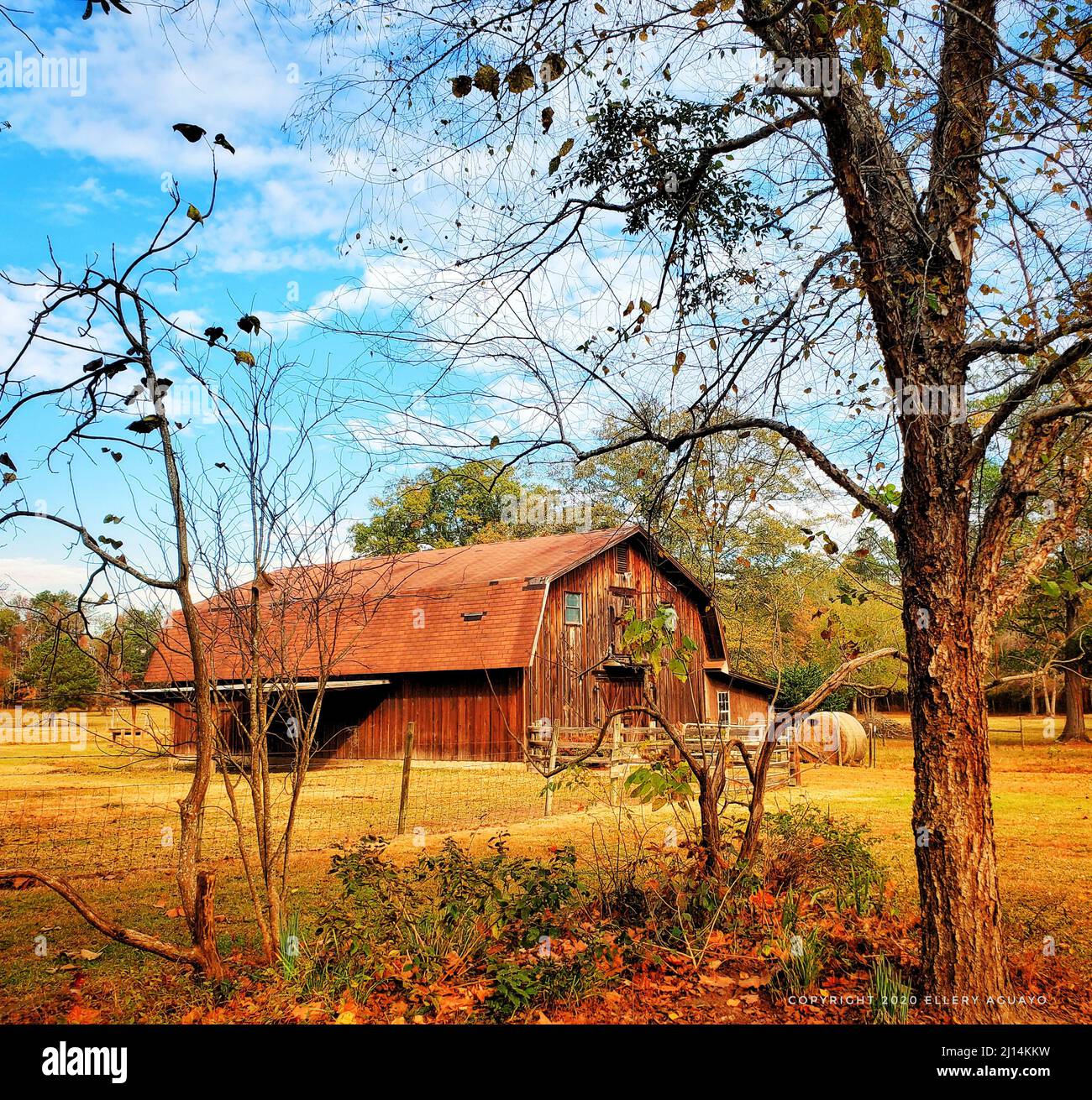 Wooden farm house with trees Stock Photo - Alamy