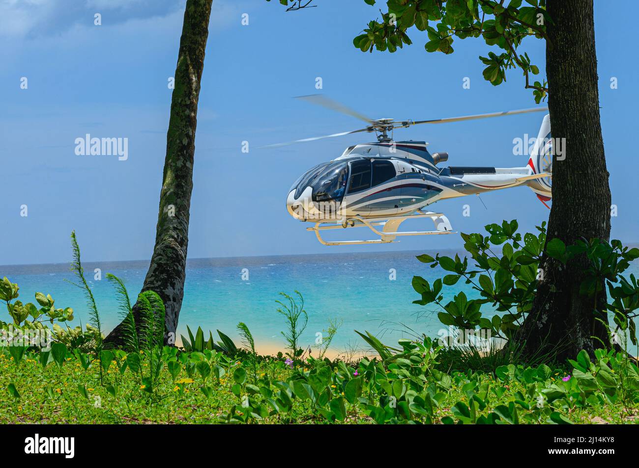 The photo shows a helicopter that brought tourists to the beach to ...