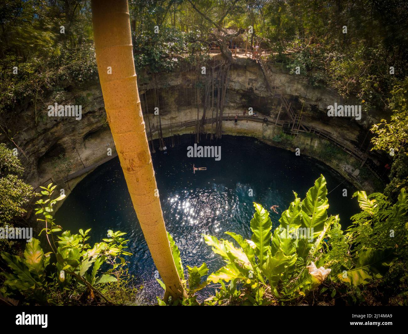 Yucatan cenote swim hi-res stock photography and images - Alamy