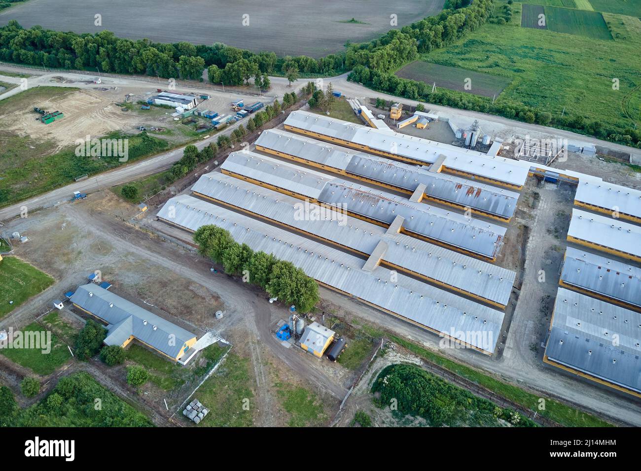 Aerial view of cattle farm buildings between green farmlands Stock ...