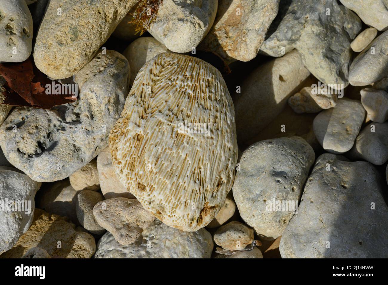 The photo shows a masonry pattern. Light brown gravel pattern ...