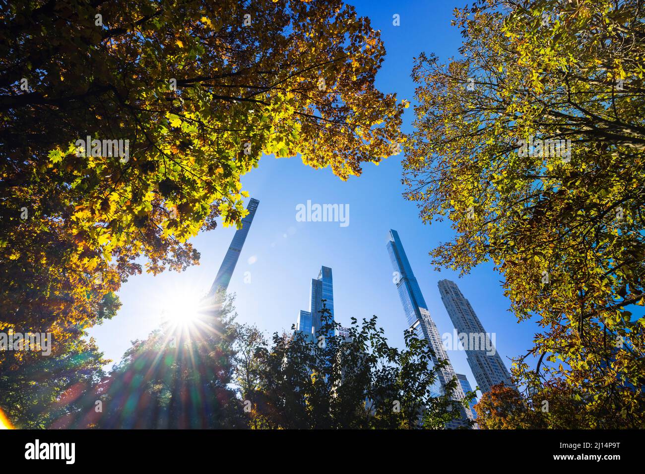 Autumn leaf color trees glow in Central Park NYC 2021 Stock Photo - Alamy