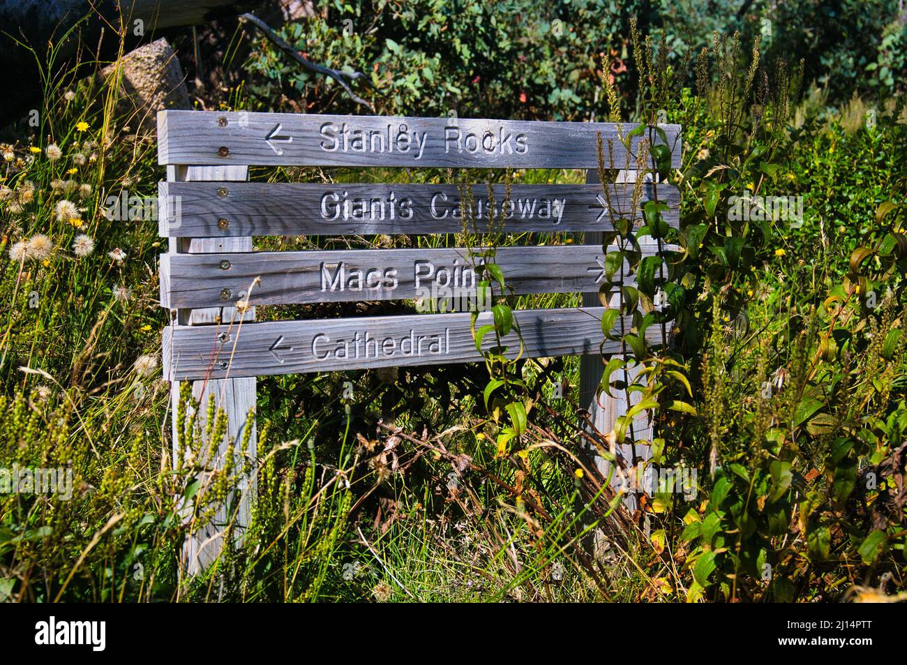Directional signs along a footpath in Mount Buffalo National Park in ...