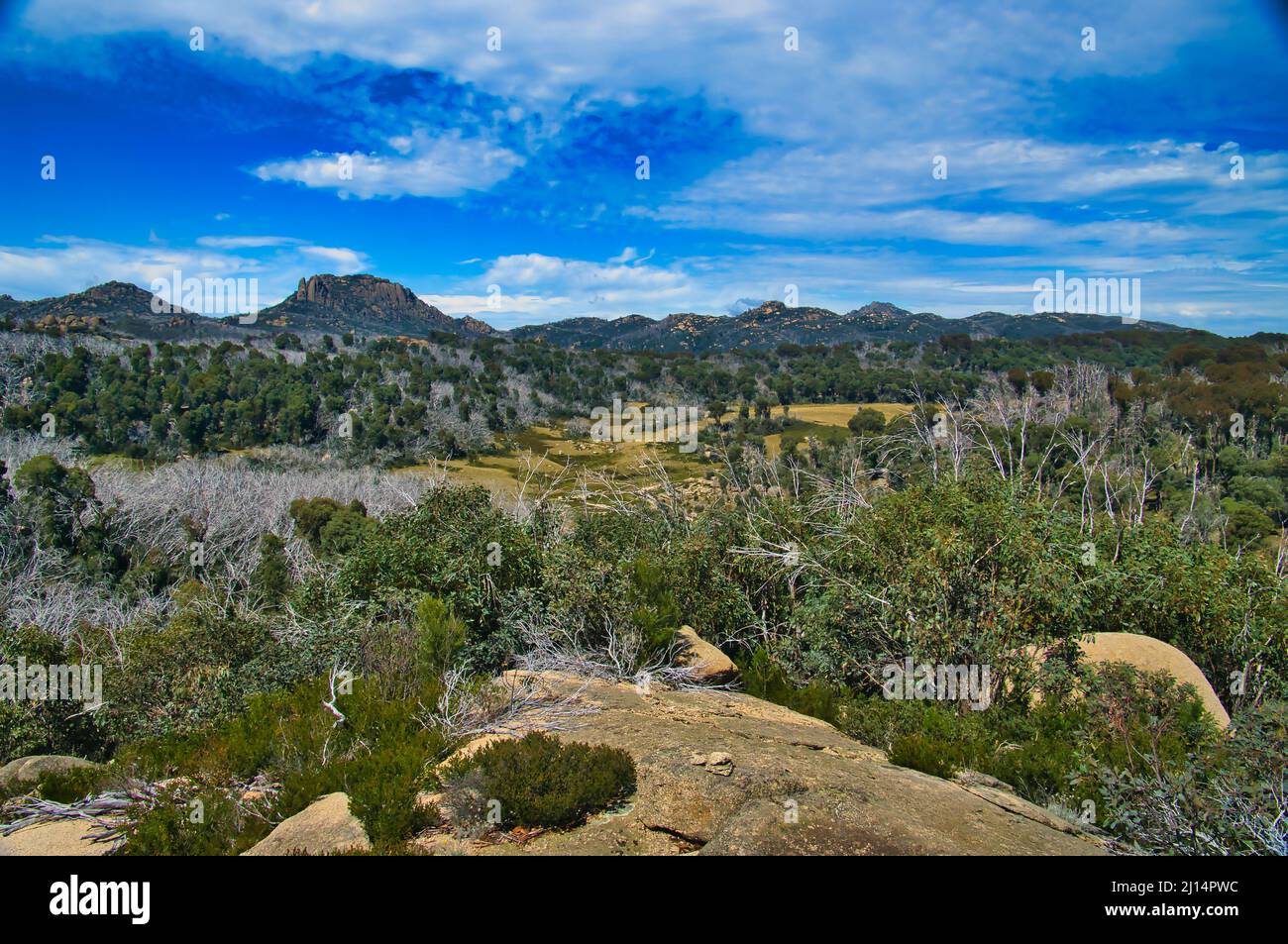 Mountain scenery with rocks and forest in the spectacular Mount Buffalo ...