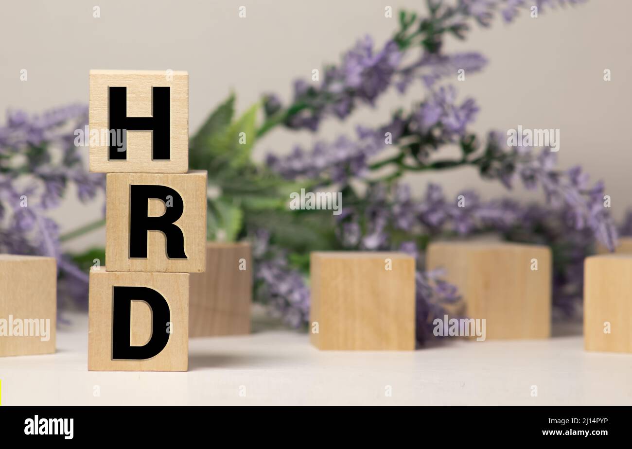 Word HRD made with wood building blocks,stock image Stock Photo - Alamy