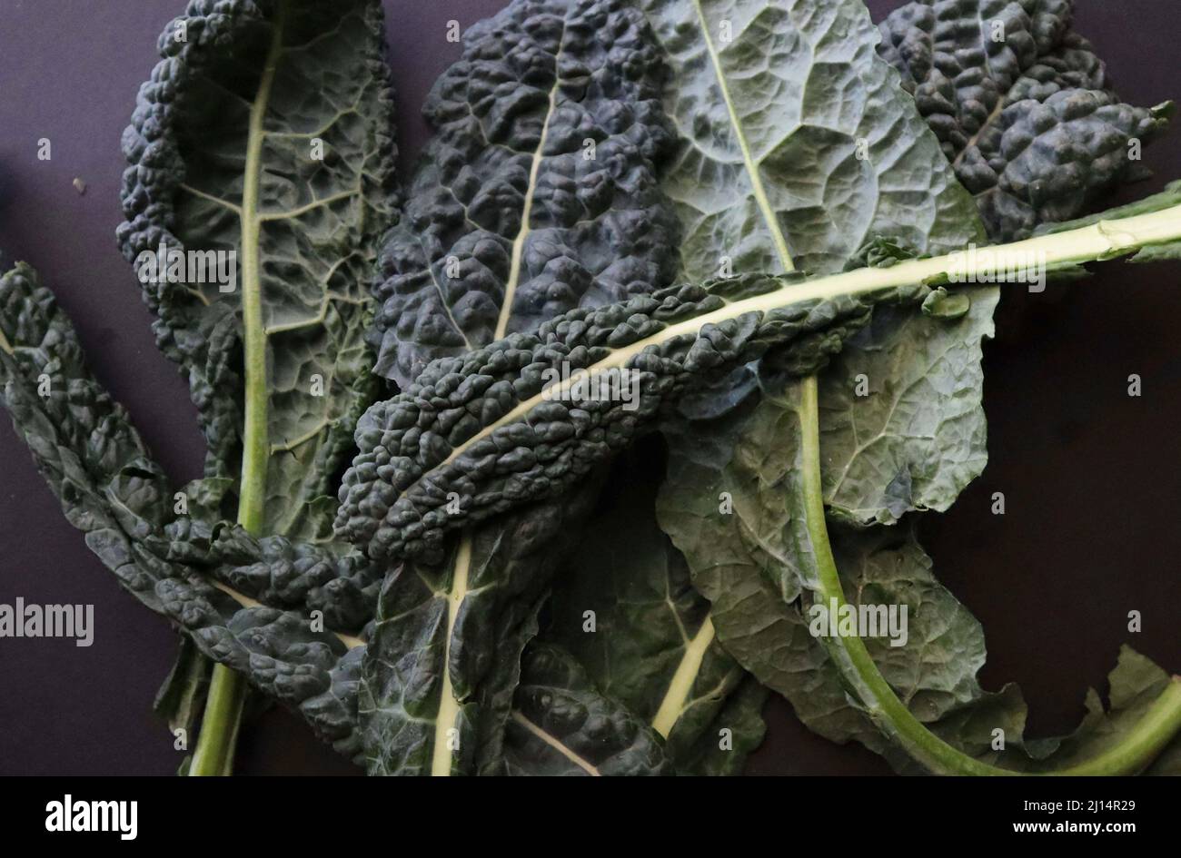 Close-up of Kale on Black Background Stock Photo - Alamy