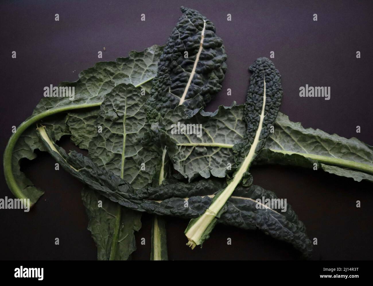 Matte black texture hi-res stock photography and images - Alamy