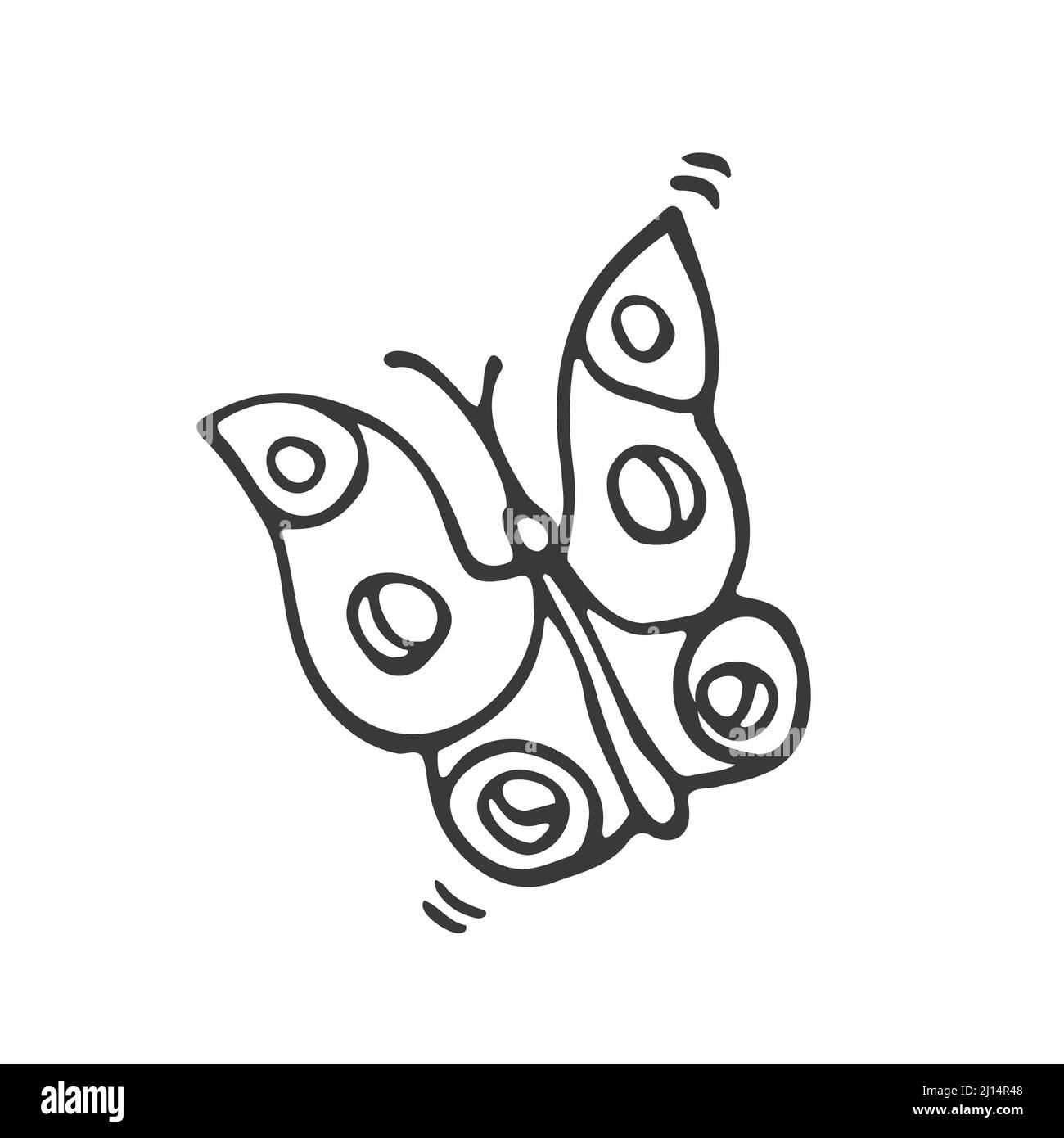 Line sketch butterfly flight Cut Out Stock Images & Pictures - Alamy