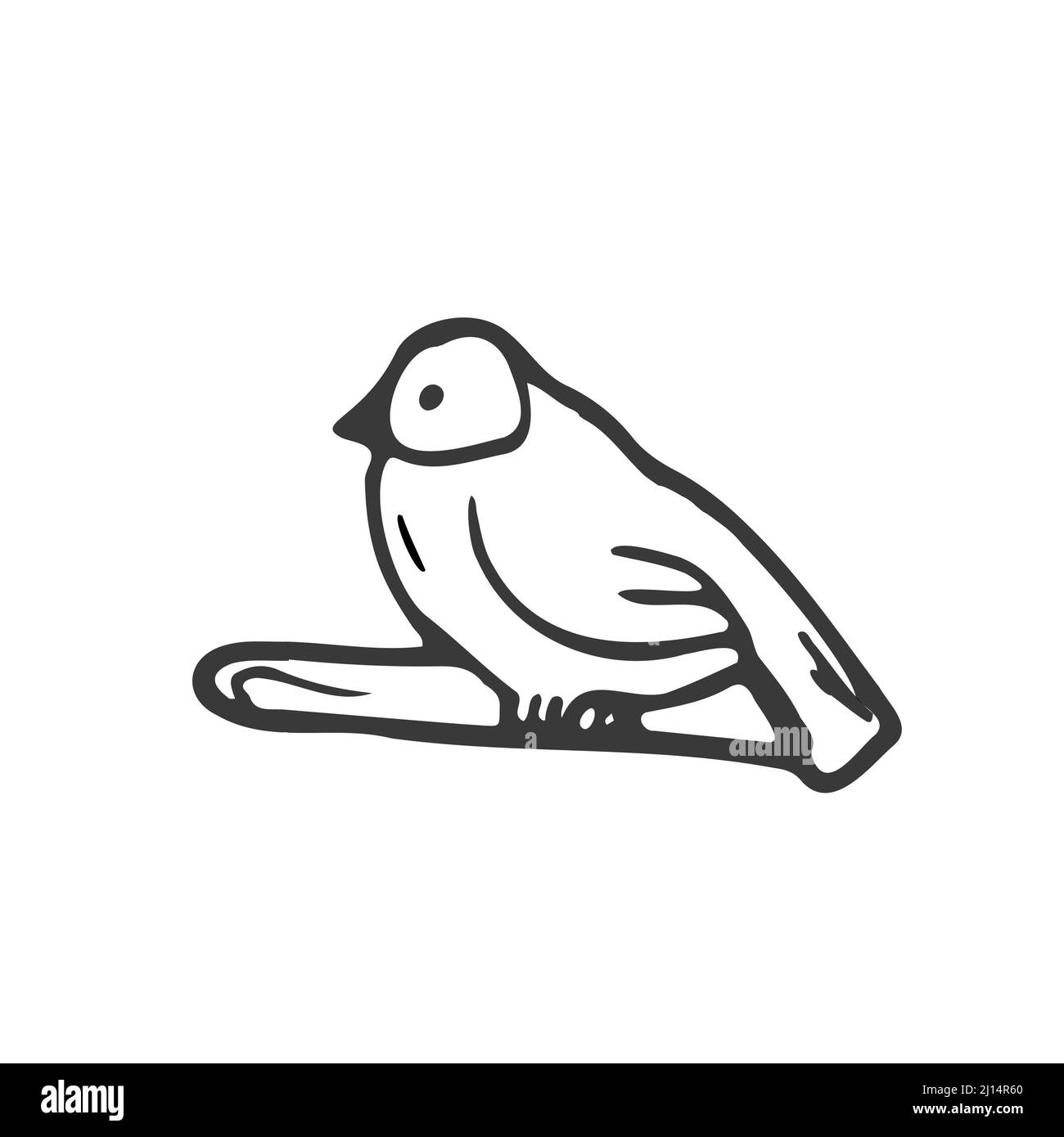 Vector hand drawn doodle sketch bird isolated on white background. Isolated vector Stock Vector ...