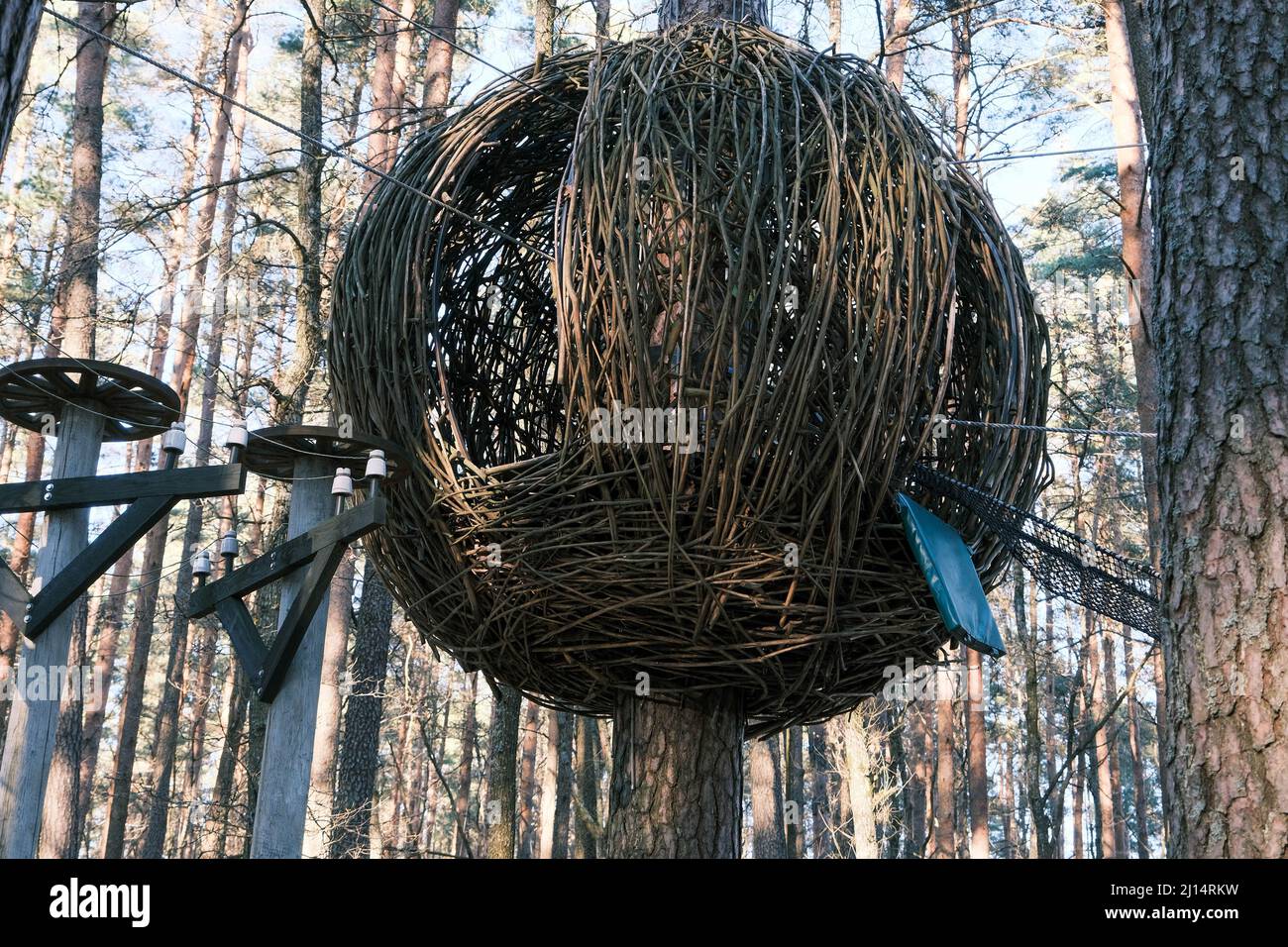 walk through the ends of trees. virtual branch socket Stock Photo - Alamy