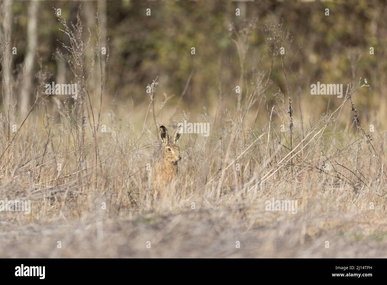 Set aside field hi-res stock photography and images - Alamy