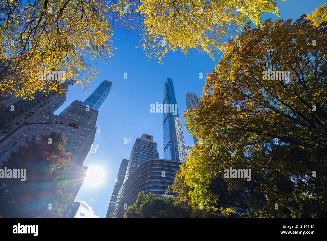 Autumn leaf color trees glow in Central Park NYC 2021 Stock Photo - Alamy