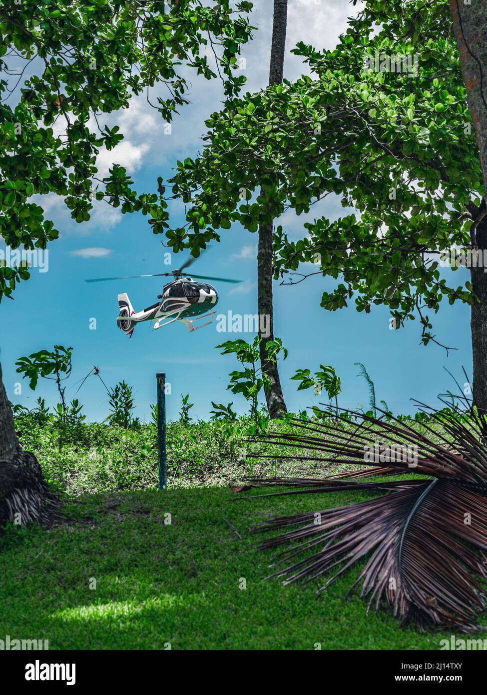 The photo shows a helicopter that brought tourists to the beach to ...