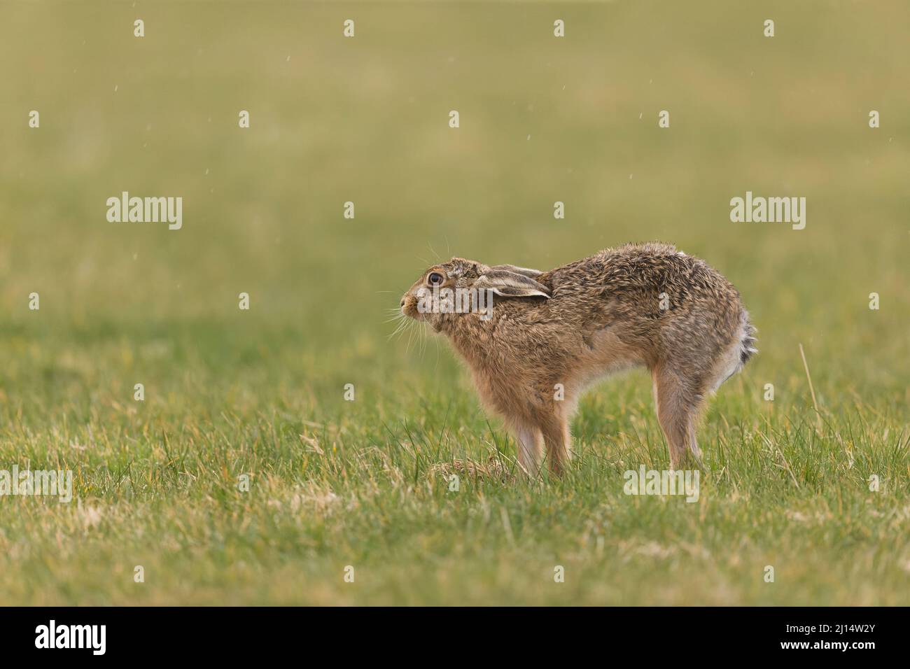 Stretching stretches hi-res stock photography and images - Alamy