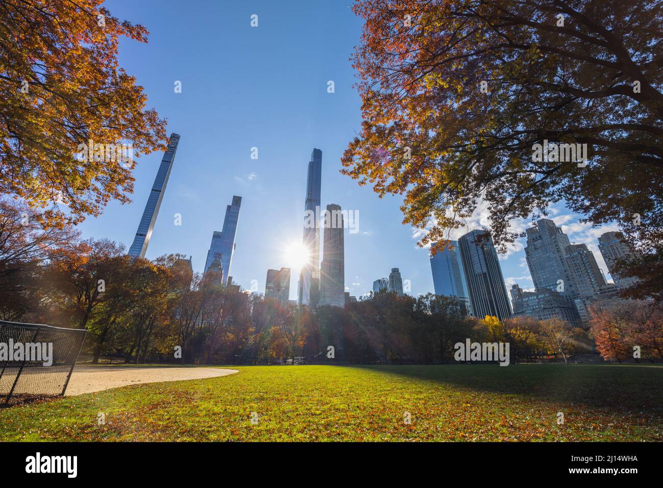 Autumn leaf color trees glow in Central Park NYC 2021 Stock Photo - Alamy