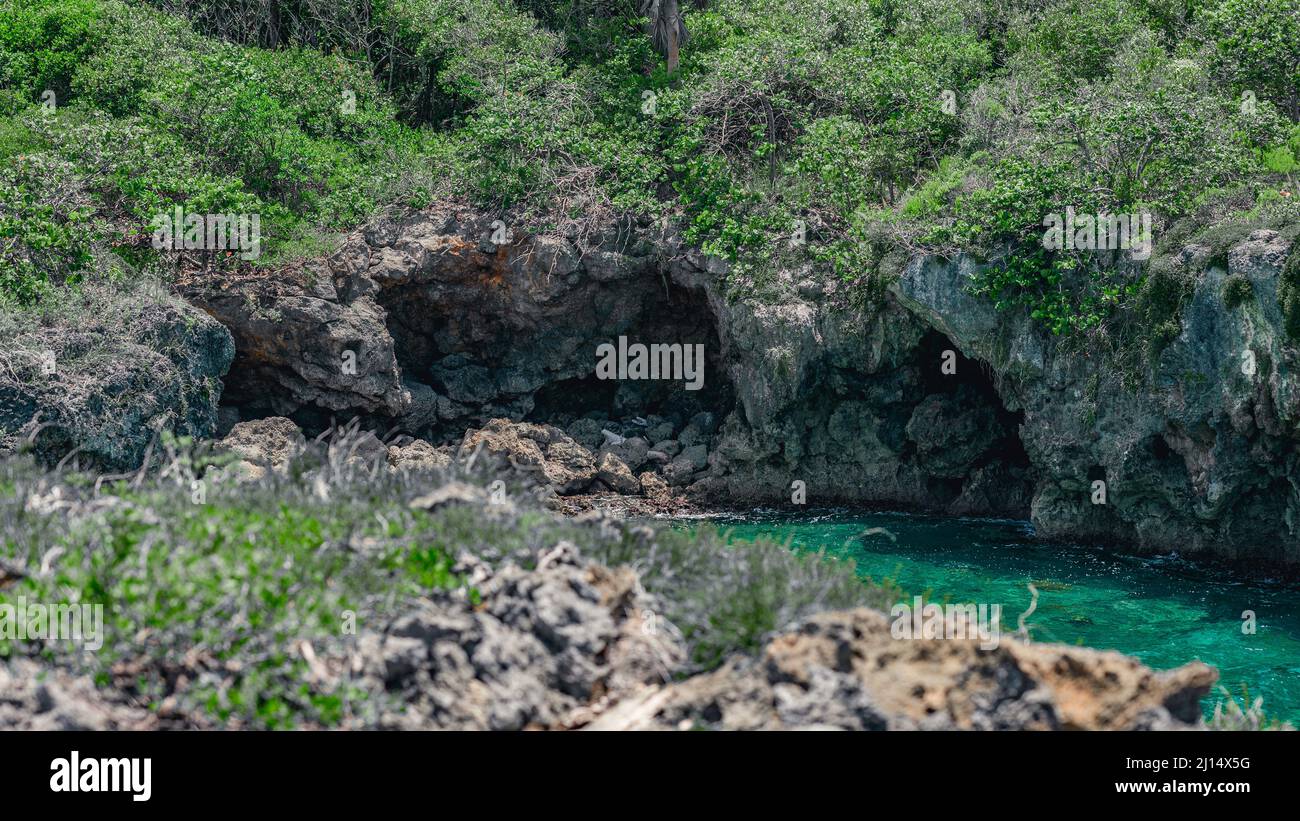 The photo shows the Atlantic Ocean with a rocky coast. The exotic ...