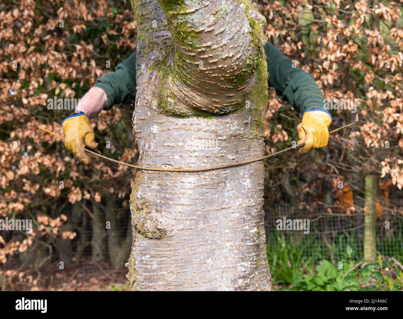 Plant supports - making metal plant supports by bending 6mm steel-rods ...