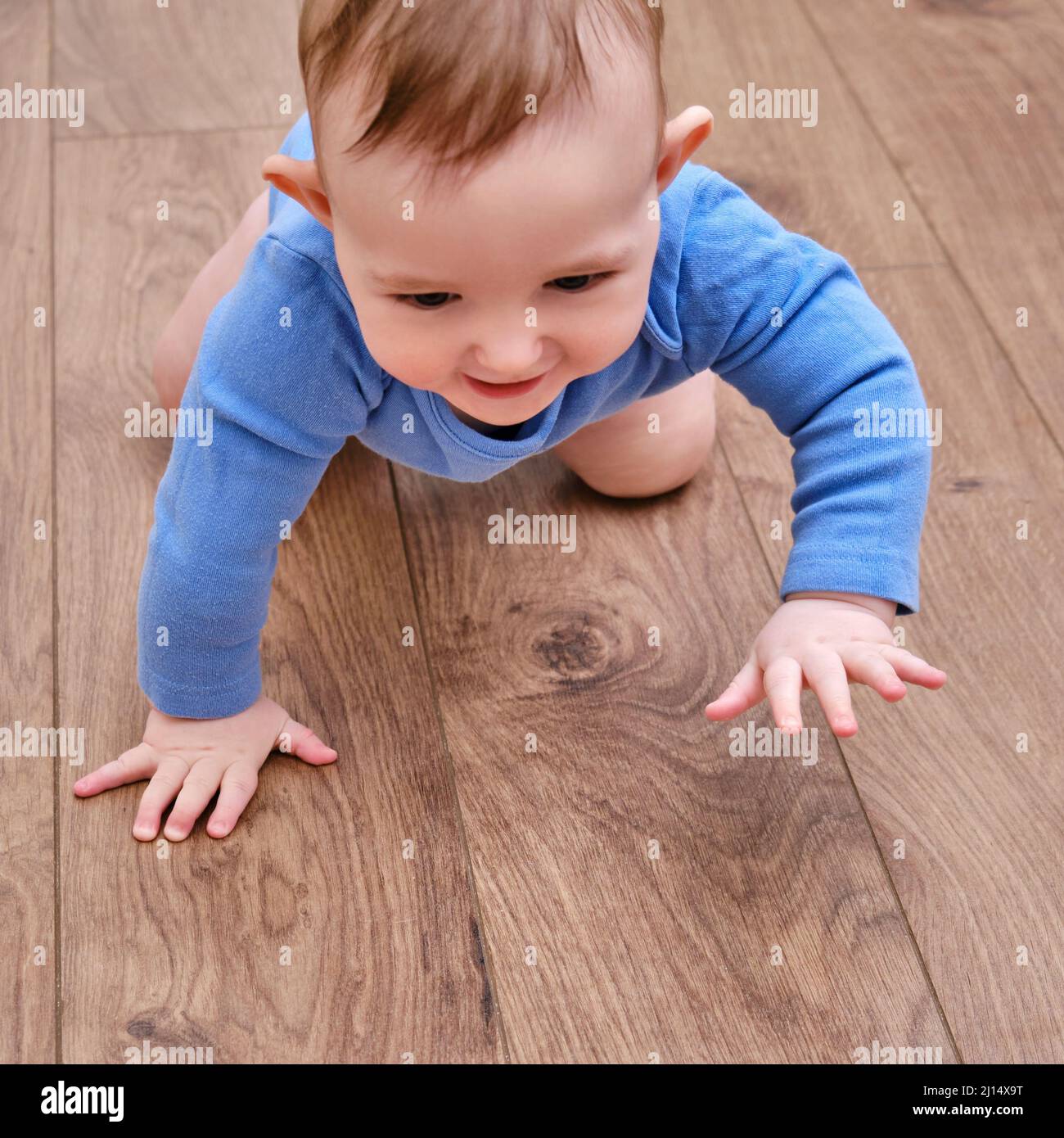 Happy baby toddler crawls on a wooden laminate. Funny child on the ...
