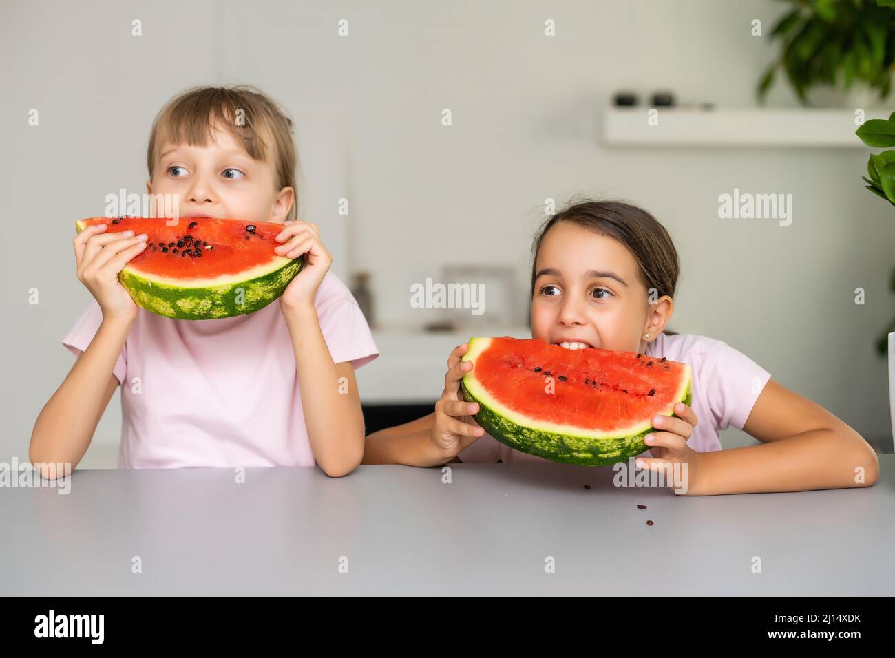 Two kids eating one slice of watermelon. Kids eat fruit outdoors ...