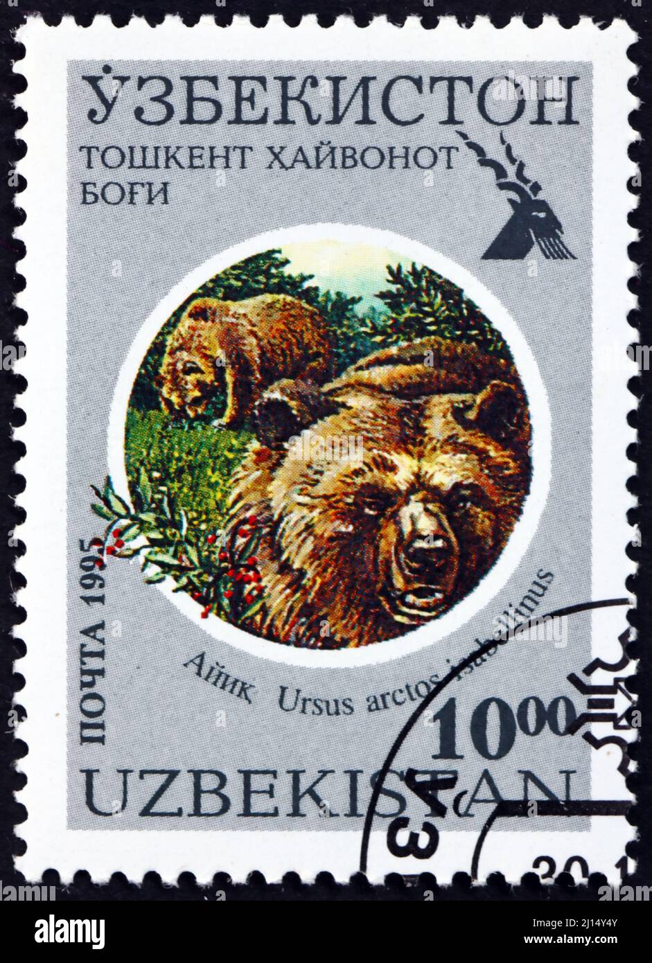UZBEKISTAN - CIRCA 1995: a stamp printed in Uzbekistan shows Himalayan ...