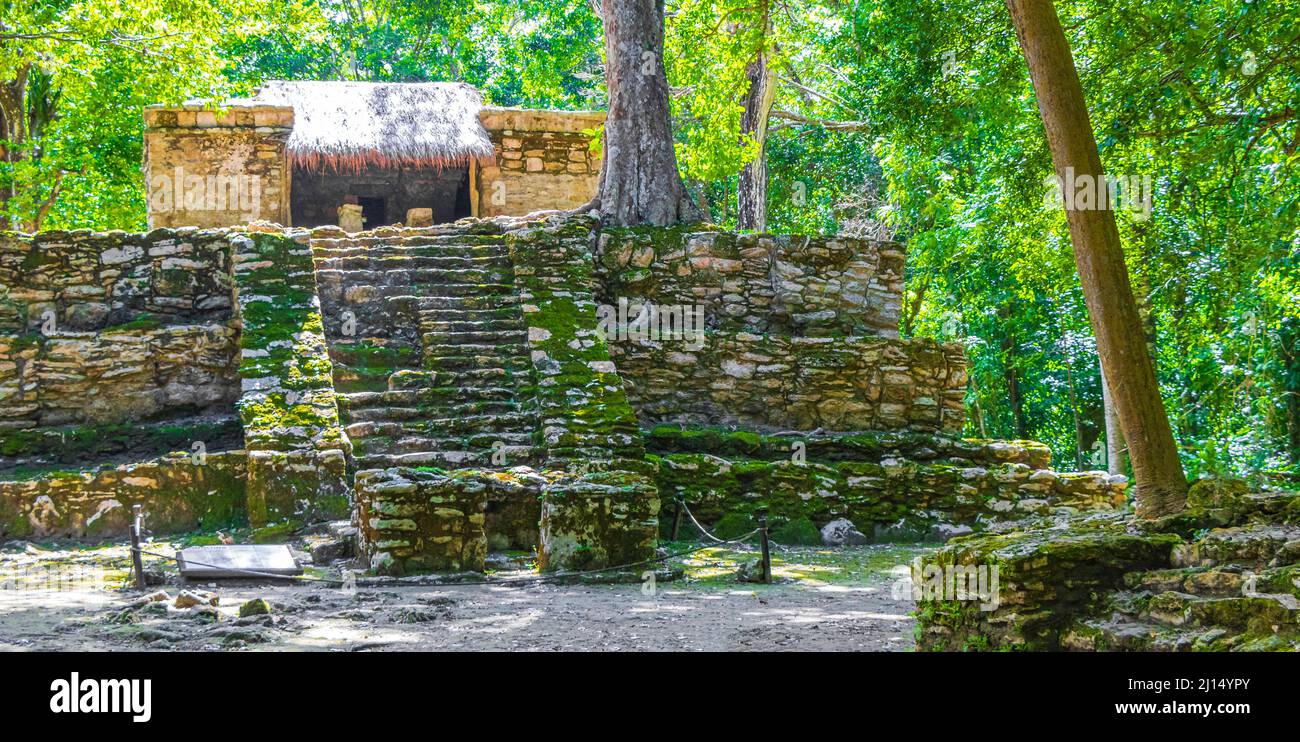Ancient Mayan site with temple ruins pyramids and artifacts in the ...