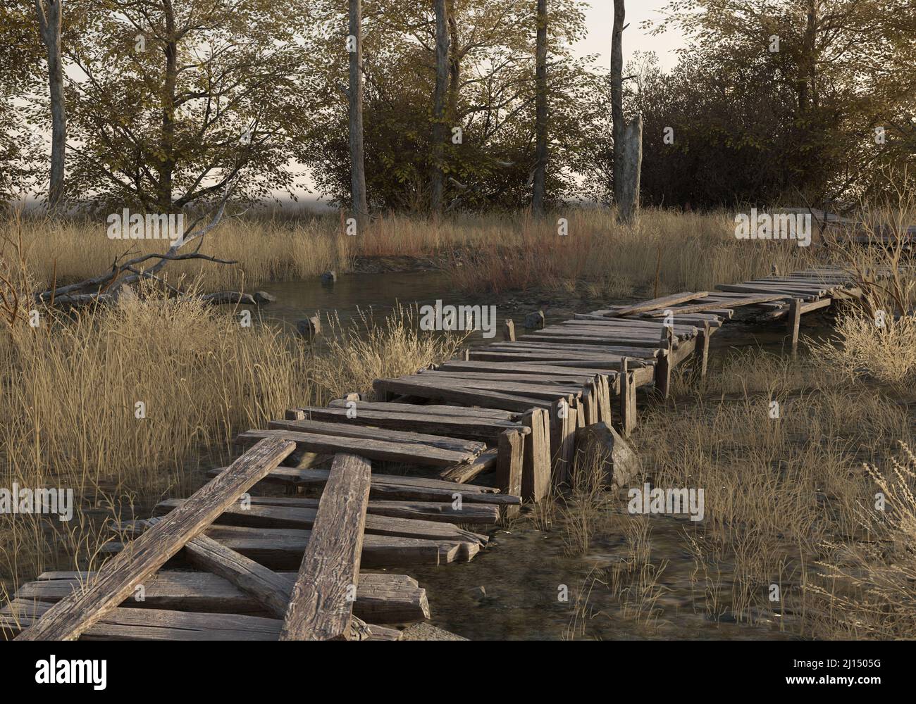Abandoned wooden path over swamp 3d render Stock Photo - Alamy