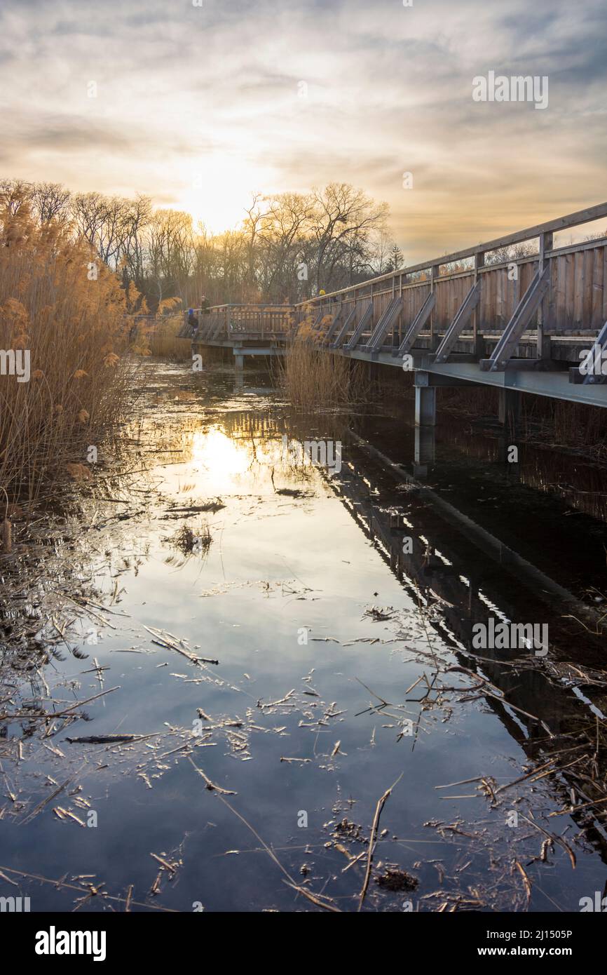 Wien, Vienna: footbridge Josefsteg in floodplain Lobau, part of ...