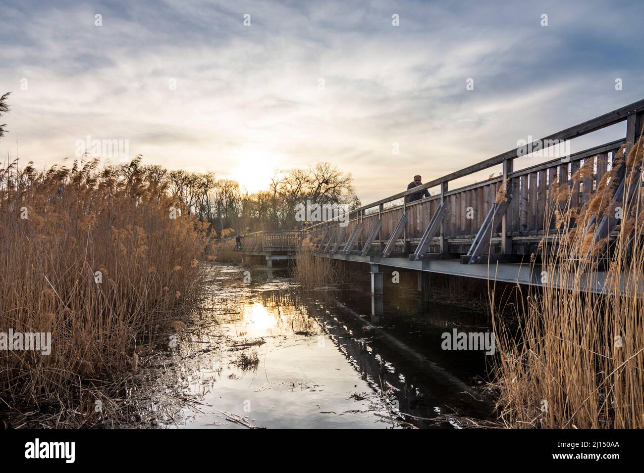 Footbridge in park at dusk hi-res stock photography and images - Alamy