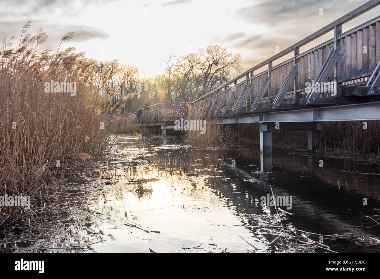 Footbridge in park at dusk hi-res stock photography and images - Alamy