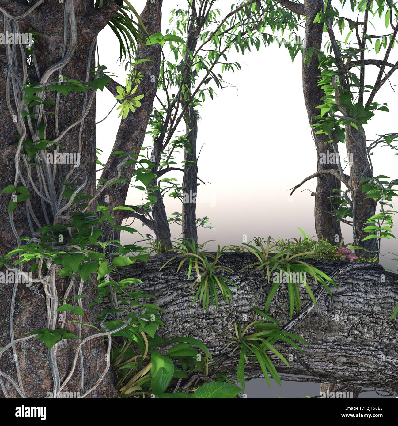 3d render of a deep foliage forest lit with sunbeams Stock Photo - Alamy