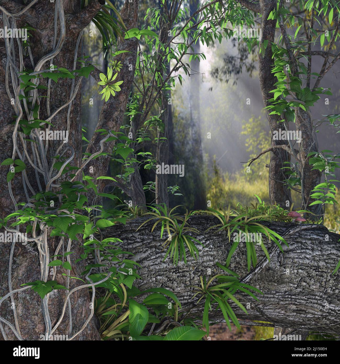3d render light forest lit hi-res stock photography and images - Alamy