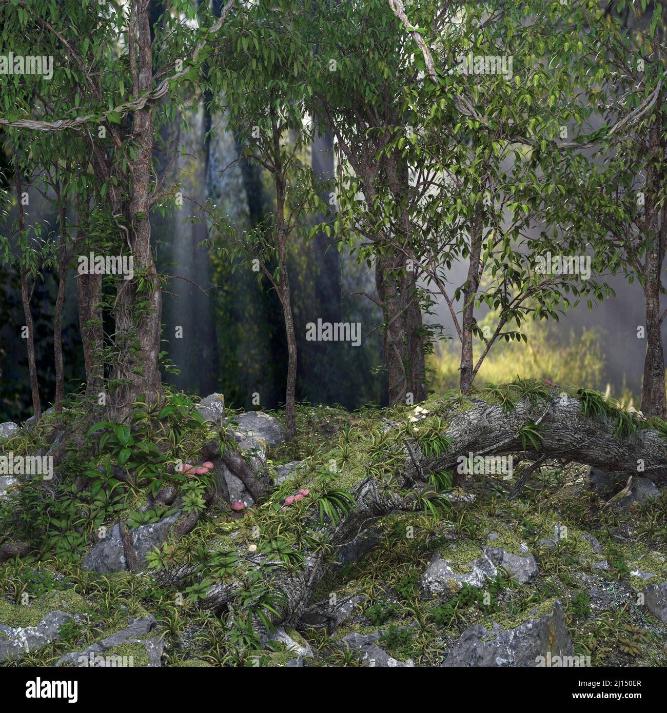 3d render light forest lit hi-res stock photography and images - Alamy