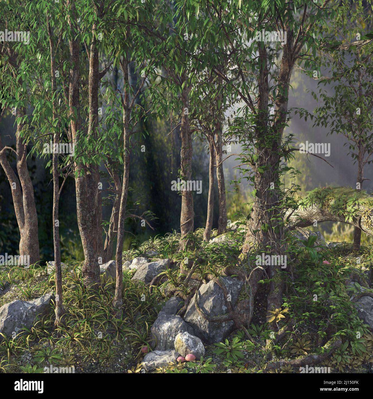 3d render light forest lit hi-res stock photography and images - Alamy