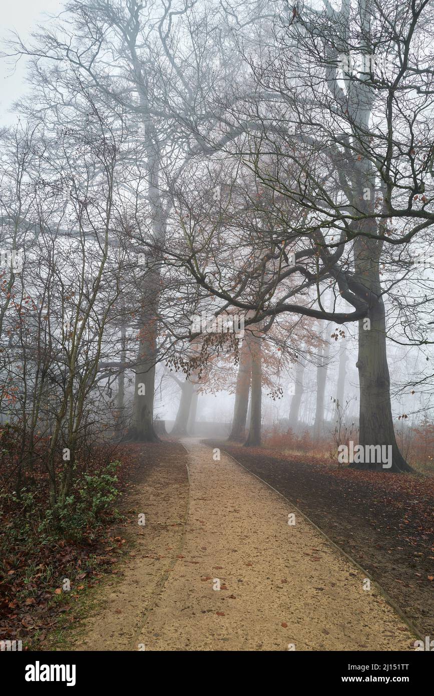 Foggy weather on a winter day in the english countryside Stock Photo ...