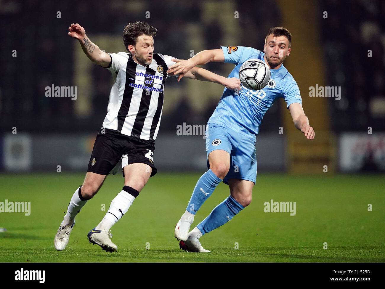 Harry rees hi-res stock photography and images - Alamy