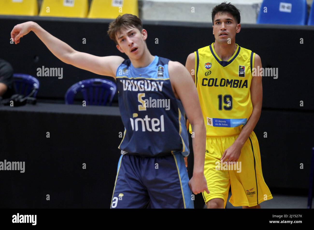 Los Dos Caminos, Miranda. VE - MARCH 21: Guzman Vasilic #5 of team from ...