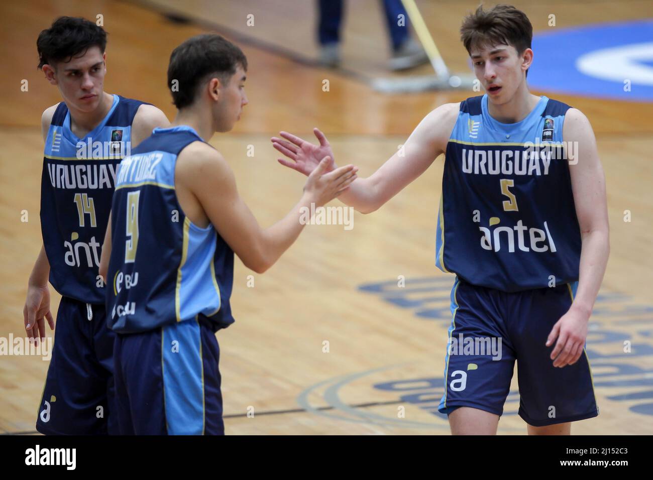 Los Dos Caminos, Miranda. VE - MARCH 21: Guzman Vasilic #5 of the ...