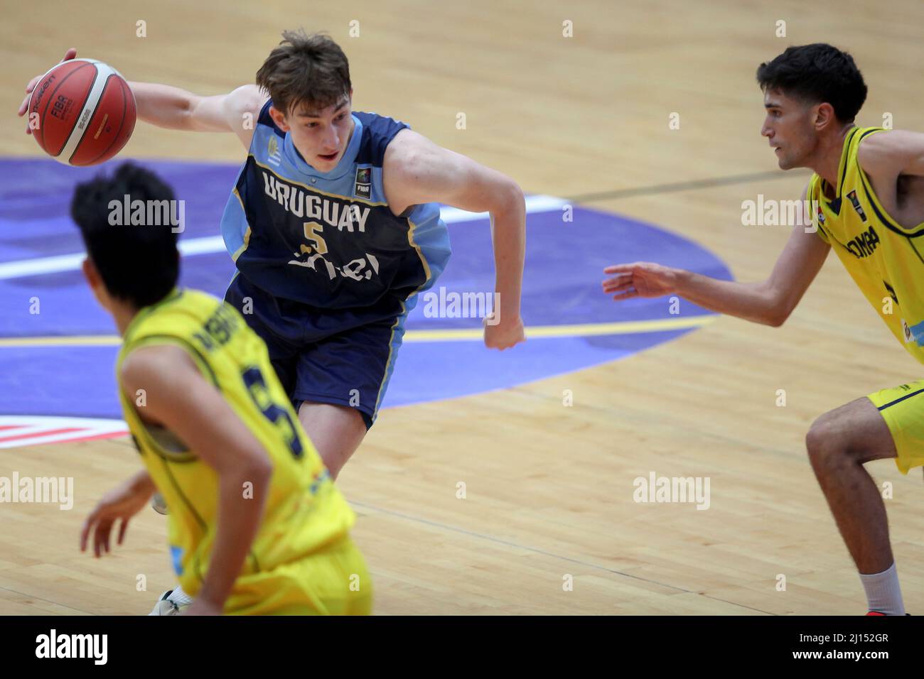 Los Dos Caminos, Miranda. VE - MARCH 21: Guzman Vasilic #5 of the ...