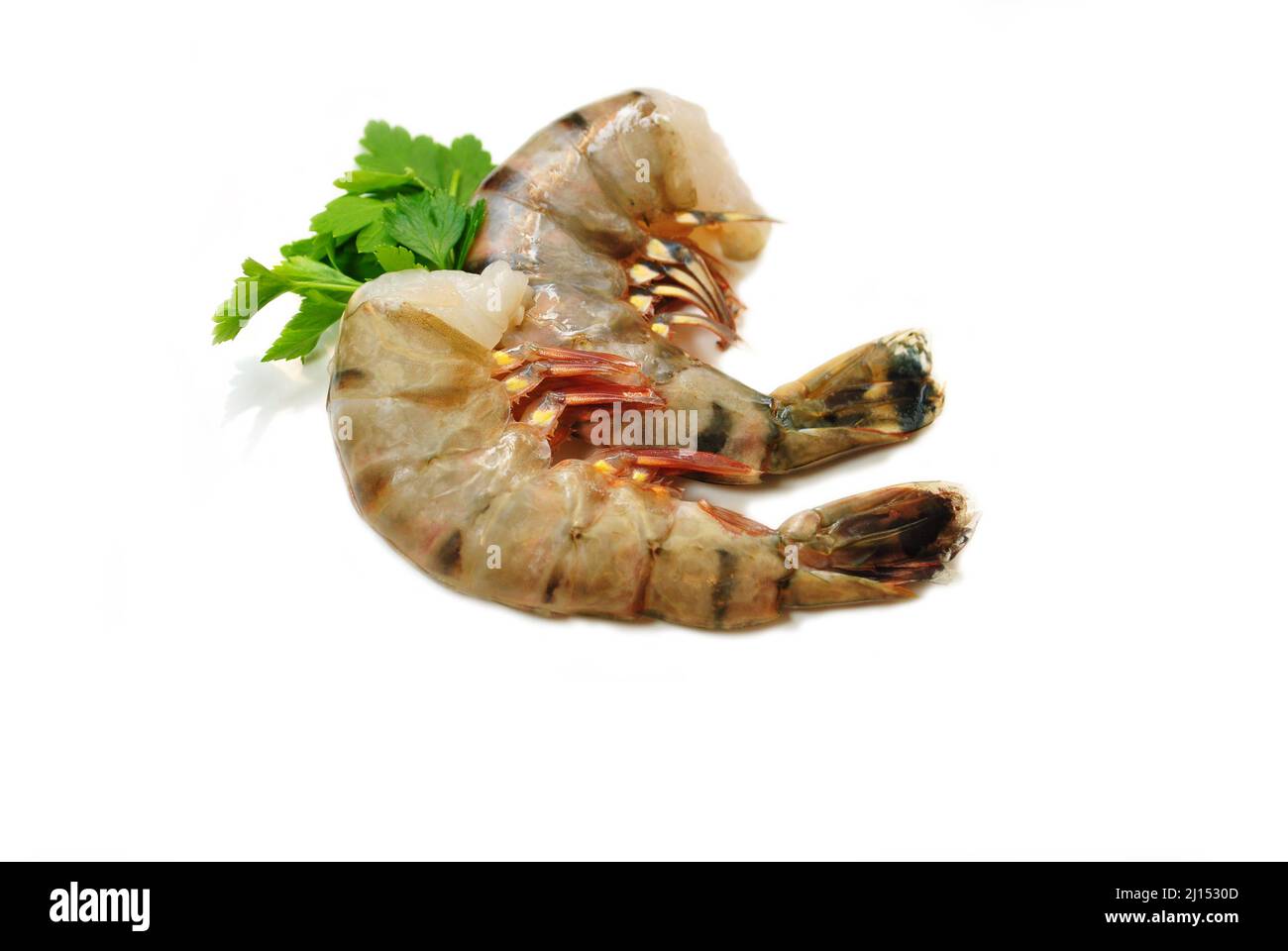 Two Large Raw Tiger Shrimp Isolated Over a White Background Stock Photo ...