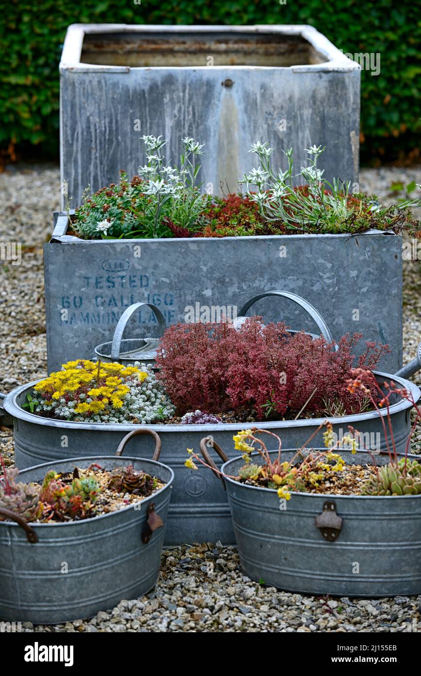 galvanised steel planter,steel planters,metal planter,mixed planters ...