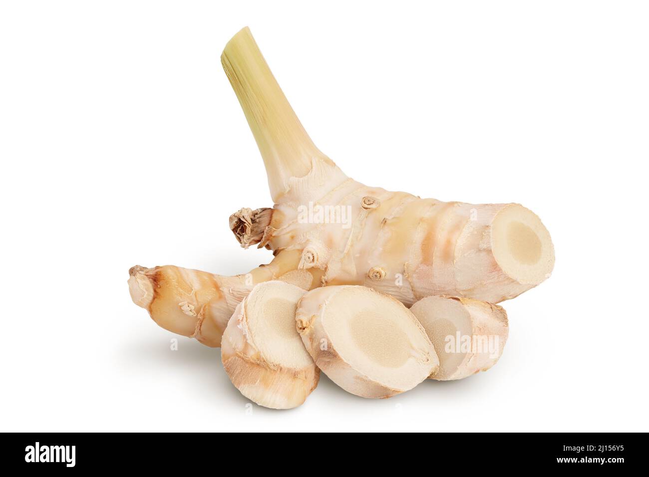 Fresh galangal root with slices isolated on white background with ...