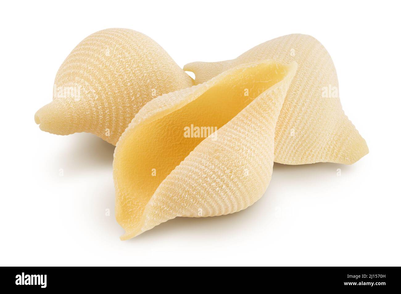 Conchiglioni italian pasta isolated on white background with clipping ...