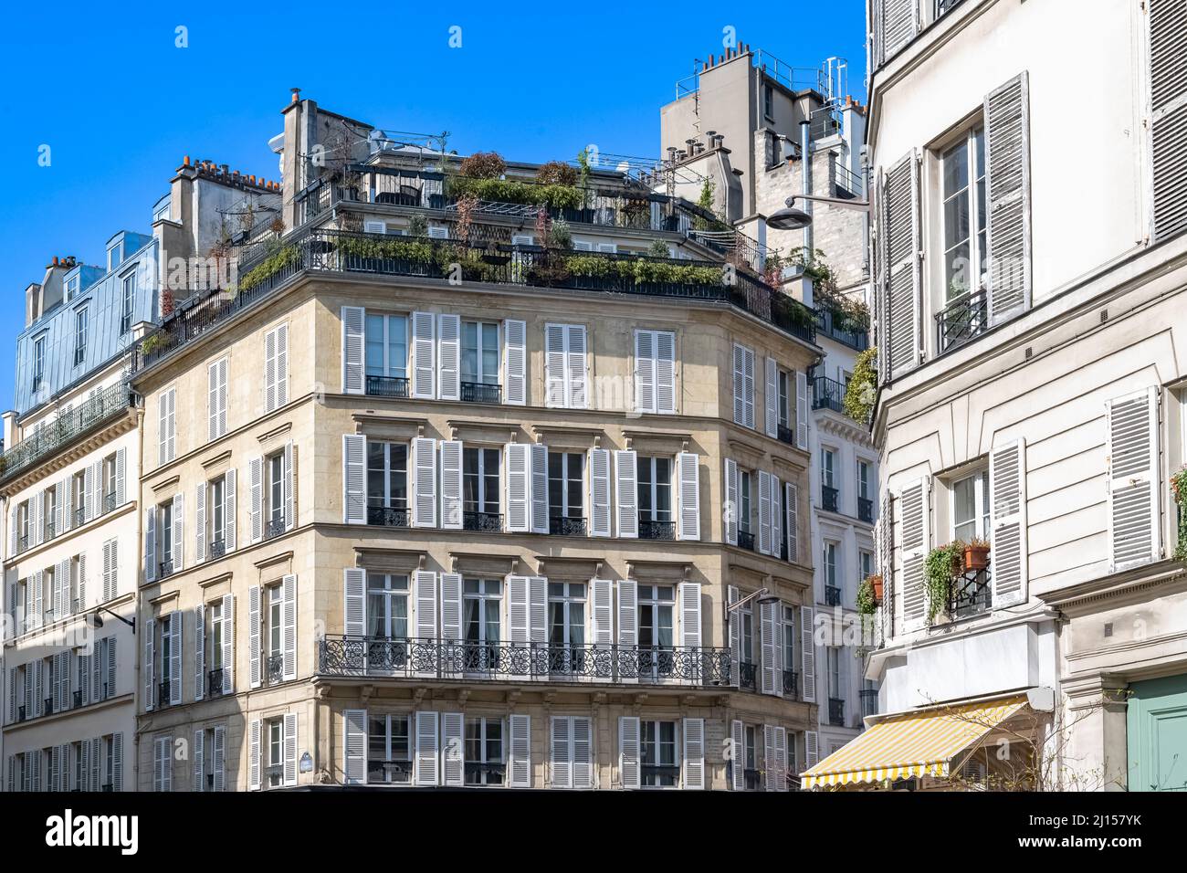 Paris, luxury parisian facade rue de Fleurus in the 6e arrondissement ...