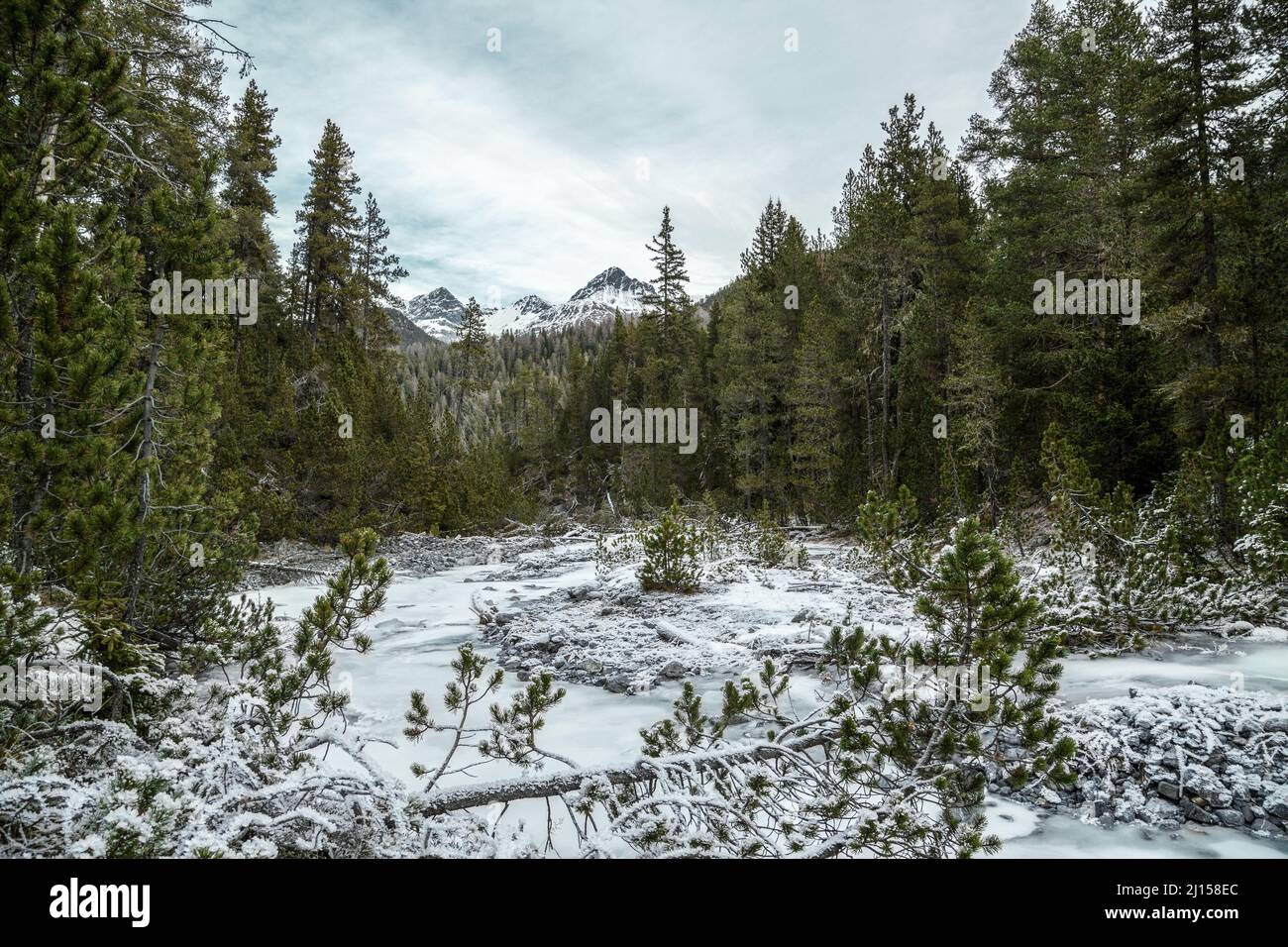 Frozen river in Val Muestair, Graubinden Canton, Switzerland Stock ...