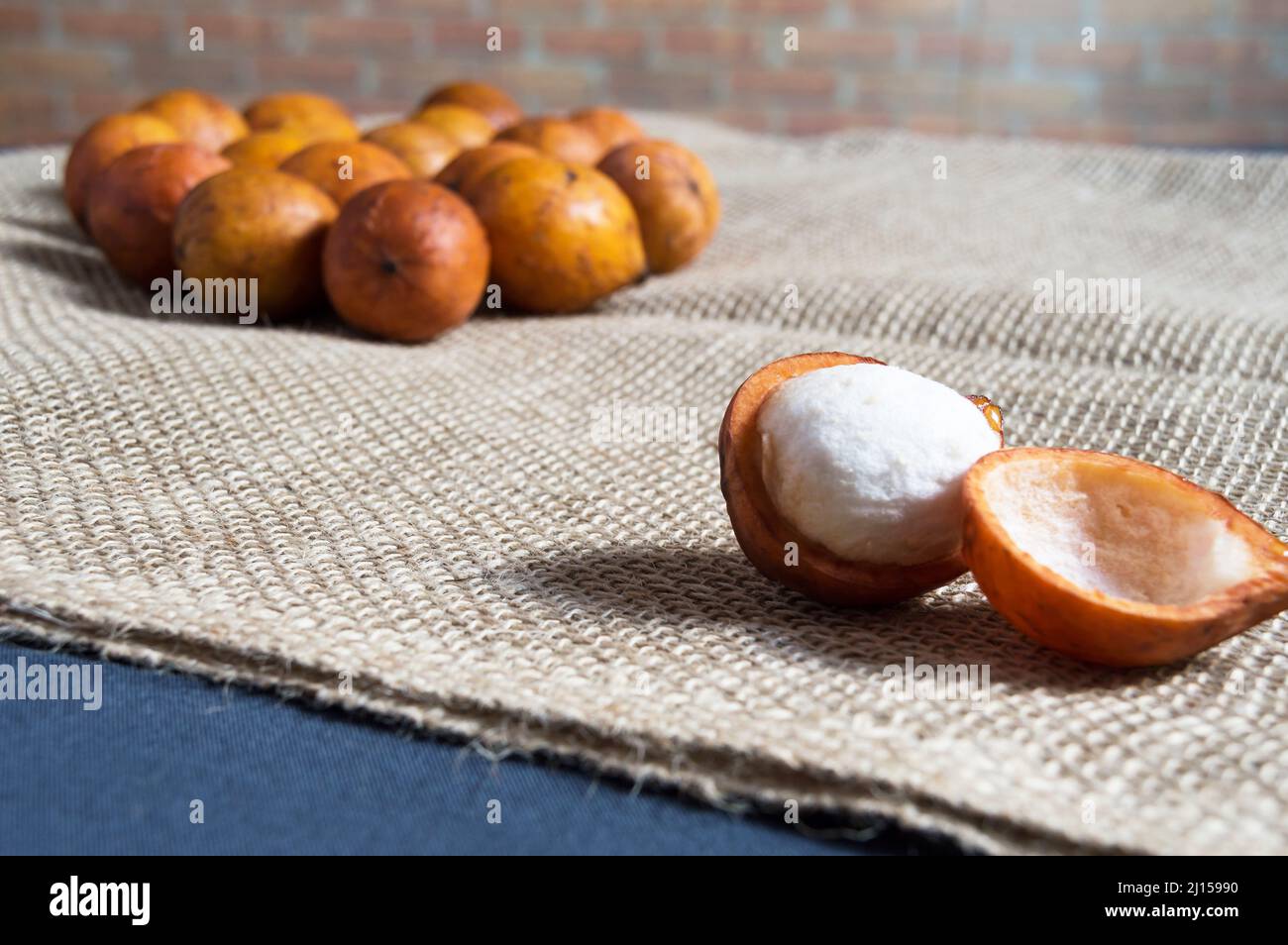 Typical Brazilian fruit named bacupari on top of jute fabric, a fruit ...
