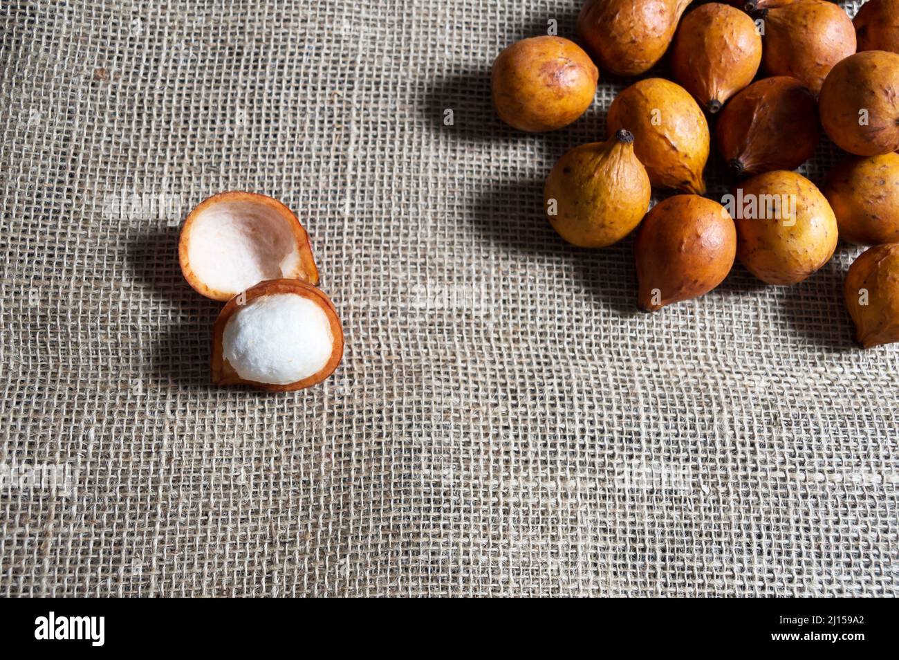 Typical Brazilian fruit named bacupari on top of jute fabric, the ...