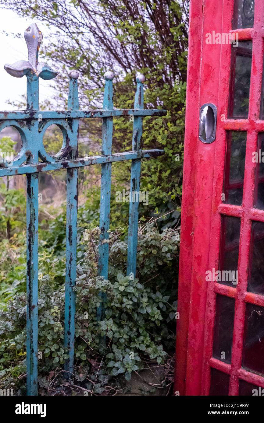 A overgrown hedge next to a rundown red telephone box in Ramsgate Kent ...