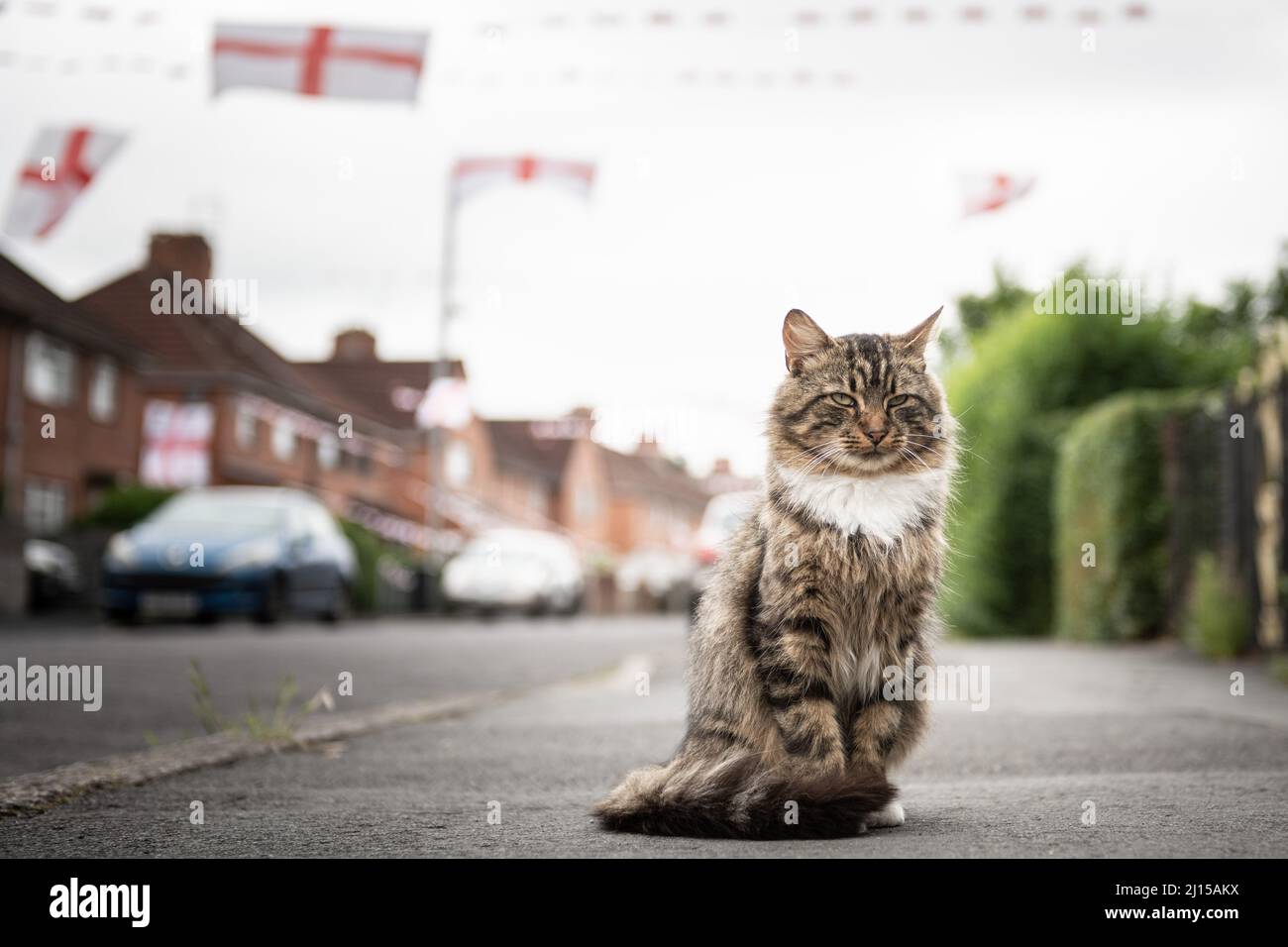 Knowle west hi-res stock photography and images - Alamy