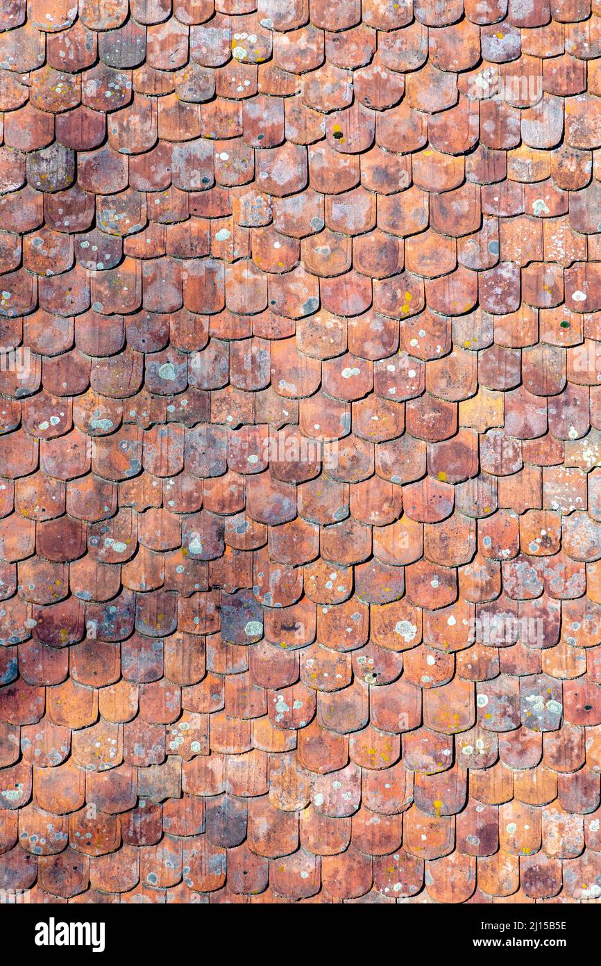 traditional red roof tiles as harmonic background Stock Photo - Alamy