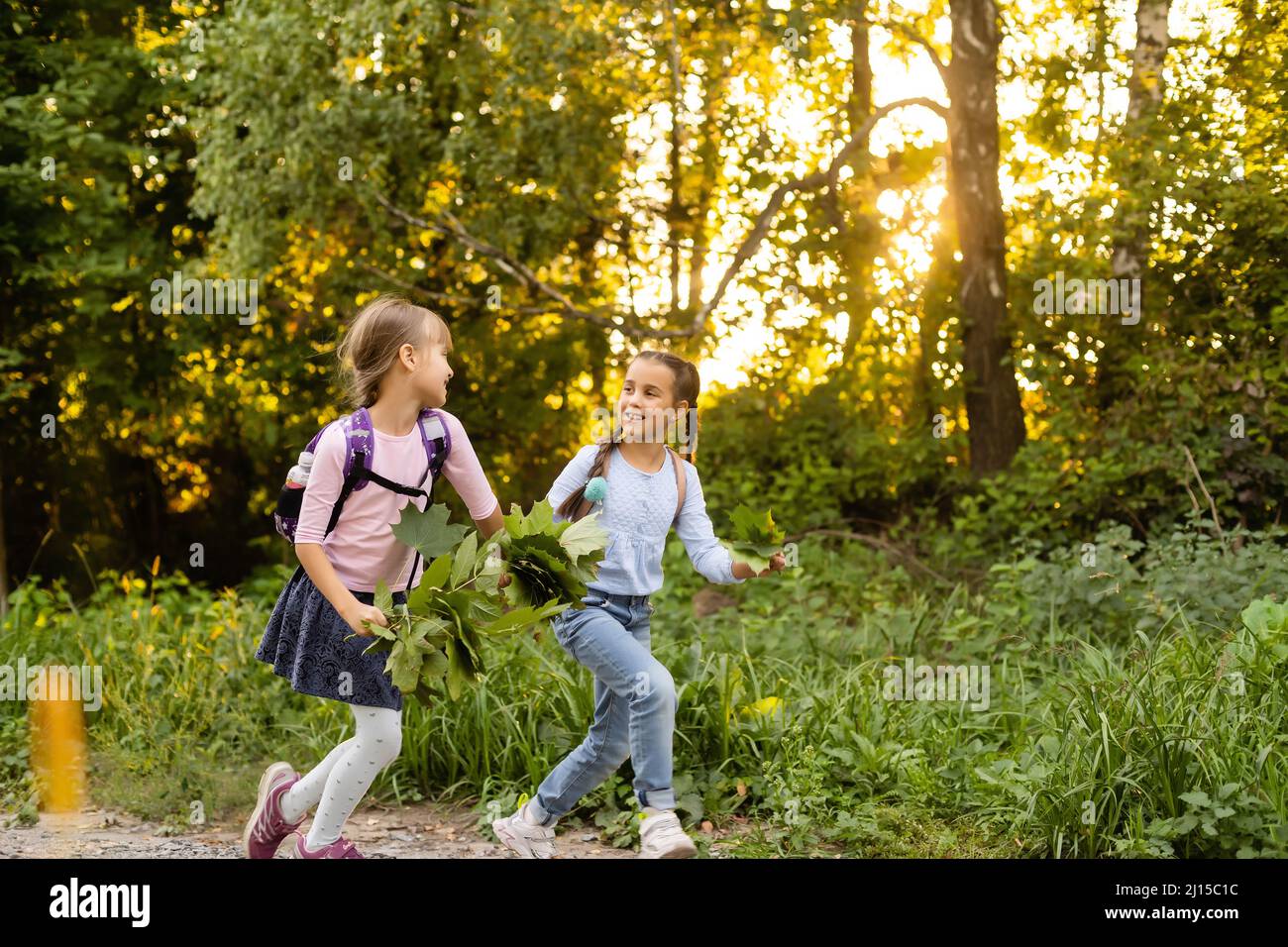 Two girls throwing leaves hi-res stock photography and images - Alamy